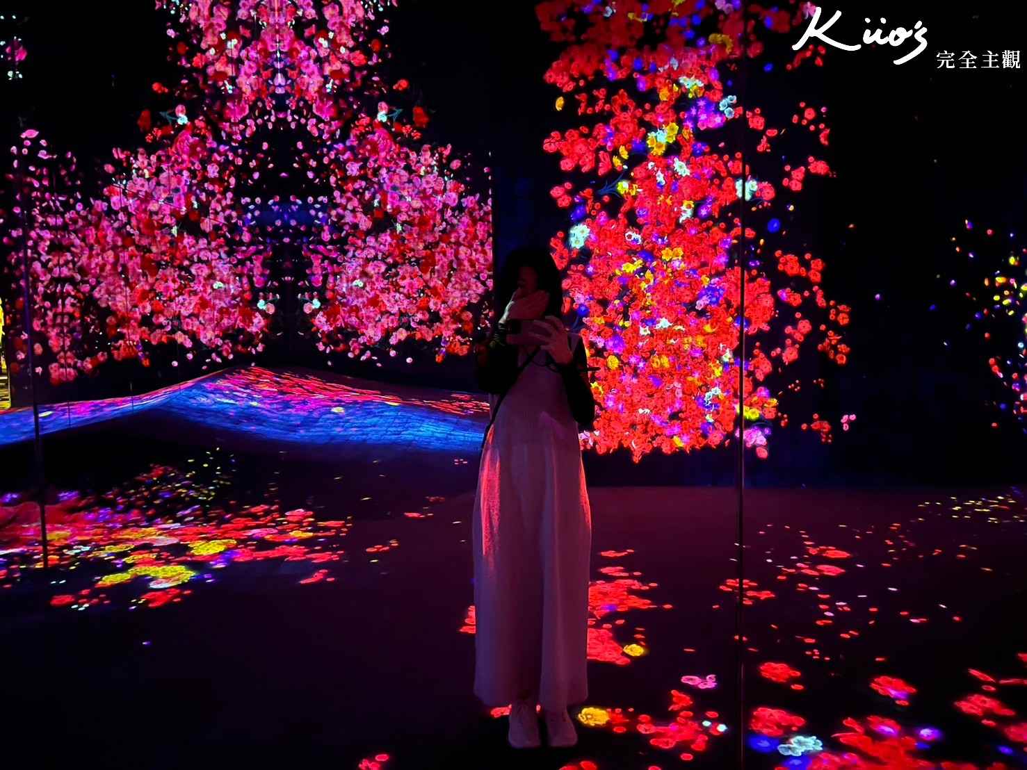 【teamLab】澳門teamLab超自然空間! 10大體驗特色評價.沈浸式藝術.好玩推薦!